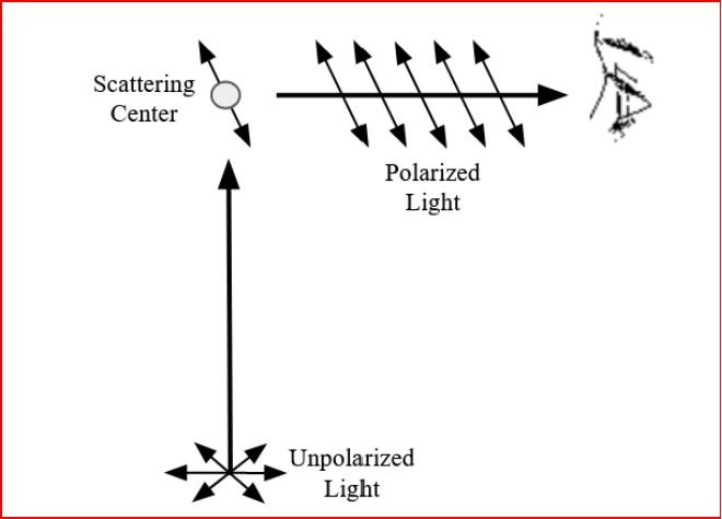 Solved Draw the E fields based on the scattering situation | Chegg.com