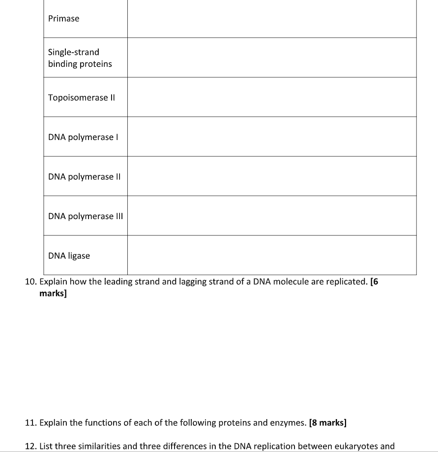 Solved Explain how the leading strand and lagging strand of | Chegg.com