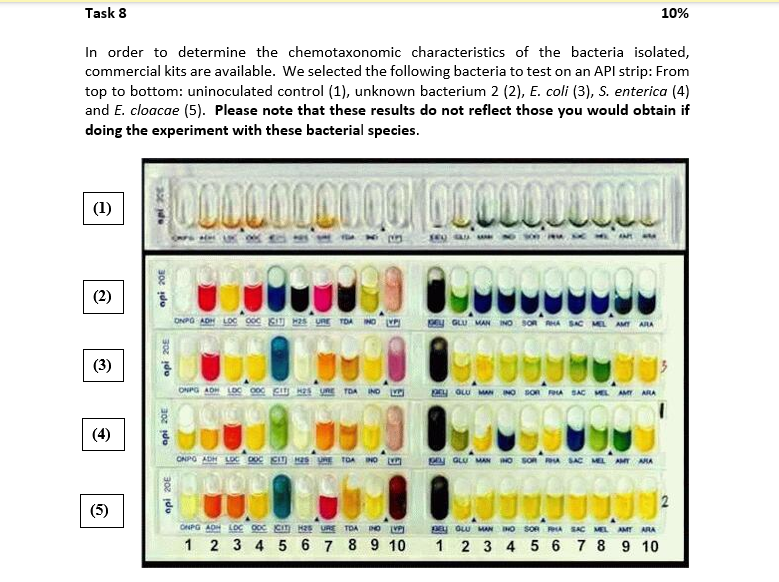 Solved Task 8 10% In order to determine the chemotaxonomic | Chegg.com