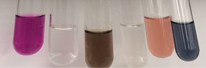 Solved 6 test tubes tables control, Arnold, Cindy, Gary, | Chegg.com