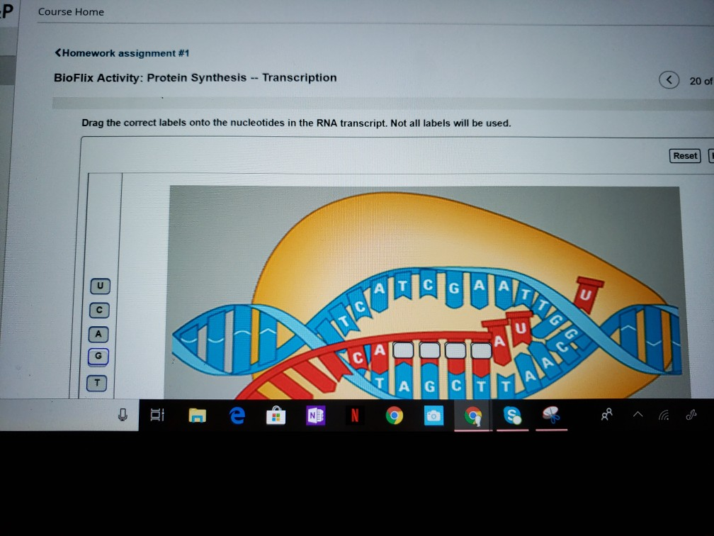 Solved P Course Home Homework assignment #1 BioFlix | Chegg.com
