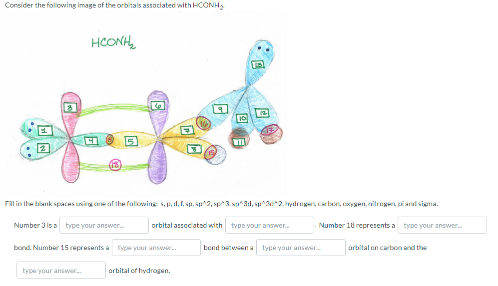 Solved Consider the following image of the orbitals | Chegg.com