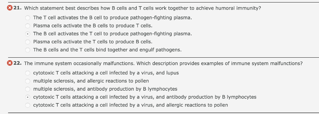 Solved 21. Which statement best describes how B cells and T | Chegg.com