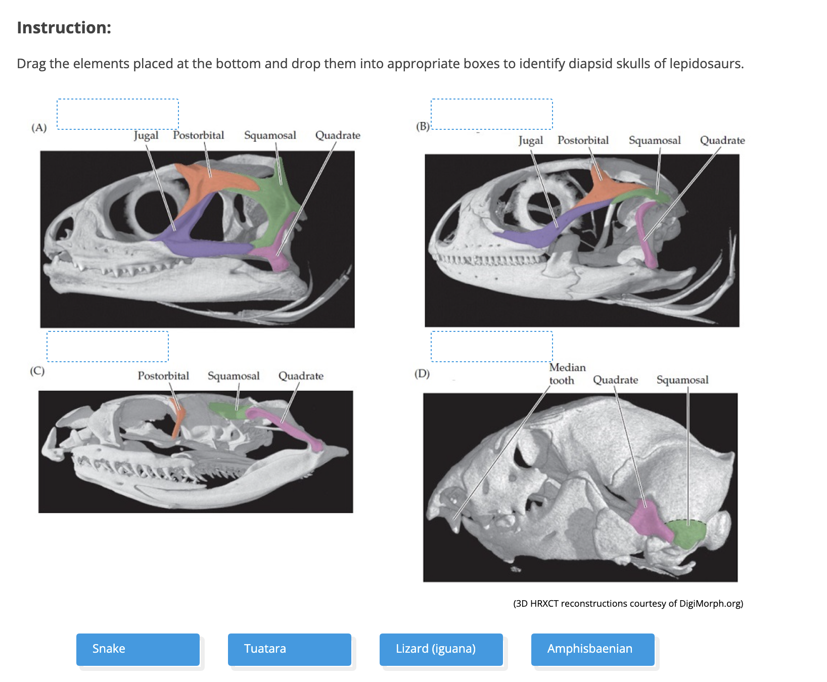 Solved Instruction: Drag the elements placed at the bottom | Chegg.com