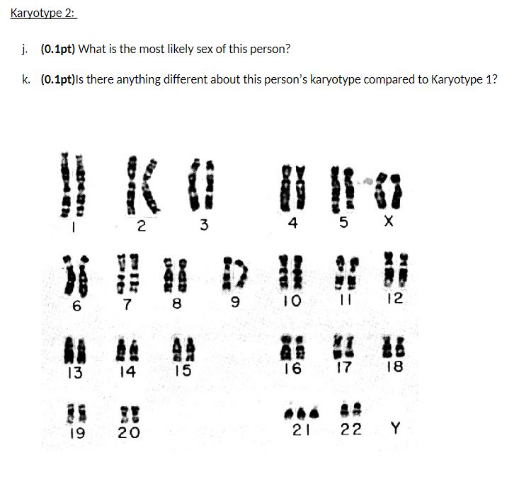Solved g. (0.1pt) Can you identify the differences between | Chegg.com