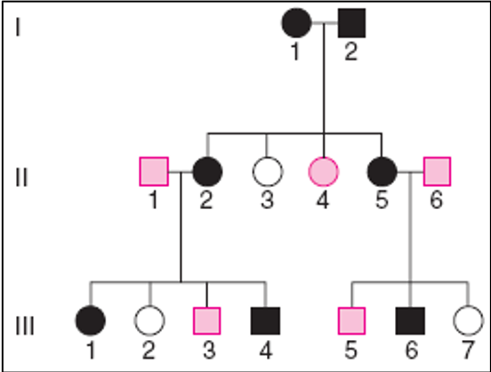 Solved The allele B gives mice a black coat, and b gives a | Chegg.com