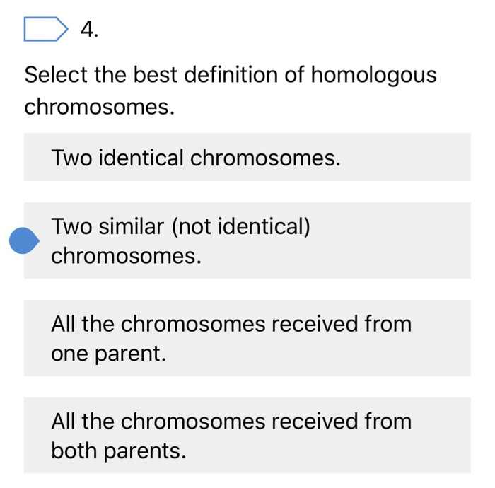 Homologous Definition
