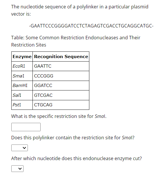 Solved The nucleotide sequence of a polylinker in a | Chegg.com