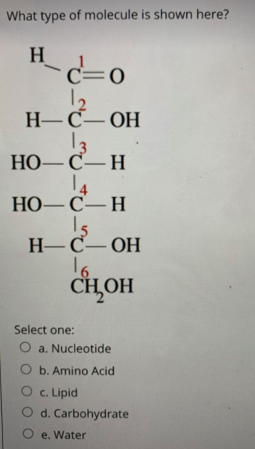 Solved What type of molecule is shown here? H C=0 12. H—C— | Chegg.com