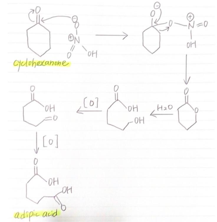 Adipic Acid From Cyclohexanone