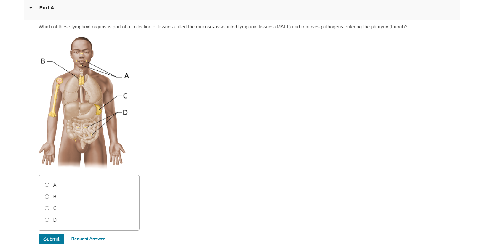 Solved Which of these lymphoid organs is part of a | Chegg.com