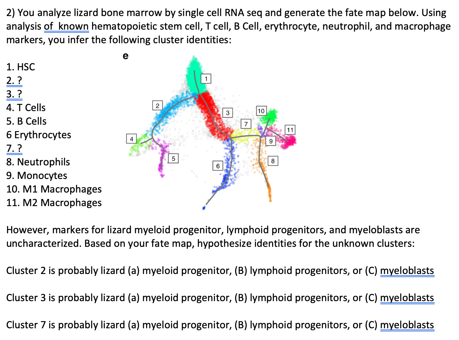 Solved 2) You analyze lizard bone marrow by single cell RNA | Chegg.com
