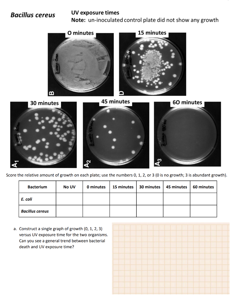 Solved 2) E. coli and Bacillus cereus were tested for their | Chegg.com