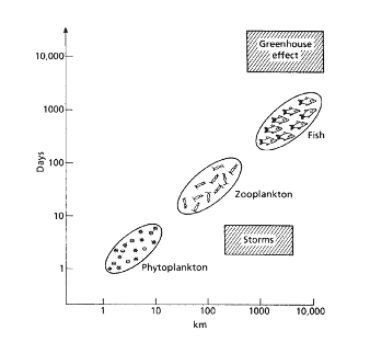 Solved Question 1: How do these diagrams compare? Are there | Chegg.com