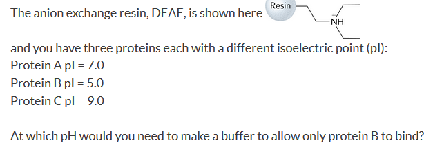 Resin The anion exchange resin, DEAE, is shown here | Chegg.com