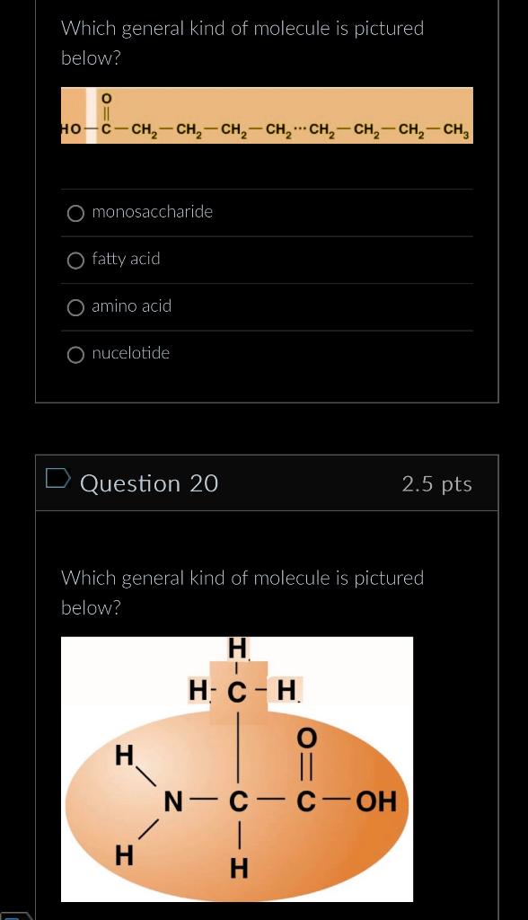 Solved Which general kind of molecule is pictured below? | Chegg.com