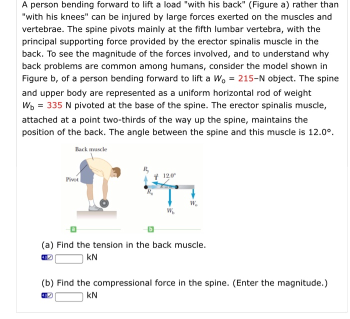 Solved A person bending forward to lift a load "with his | Chegg.com