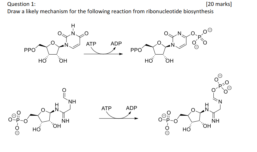Question 1: [20 marks] Draw a likely mechanism for | Chegg.com