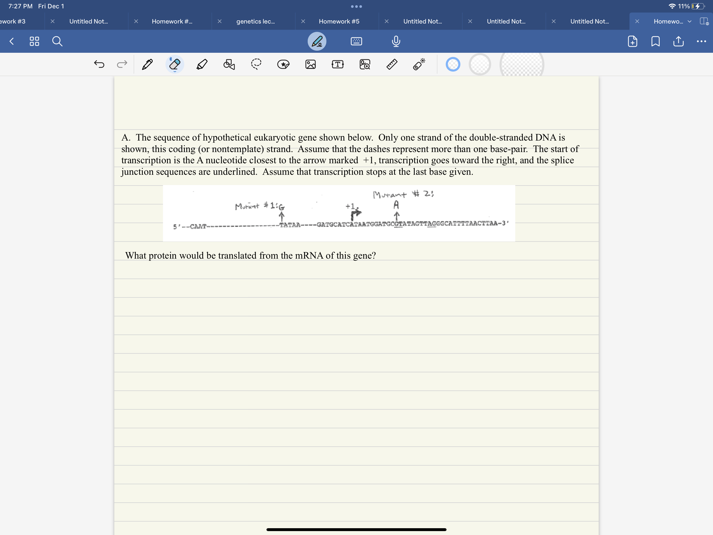 A. ﻿The sequence of hypothetical eukaryotic gene | Chegg.com