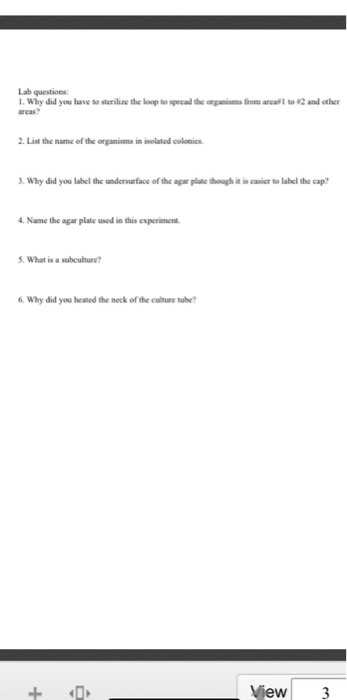 Lab questions: 1.Why did you have to sterilize the | Chegg.com