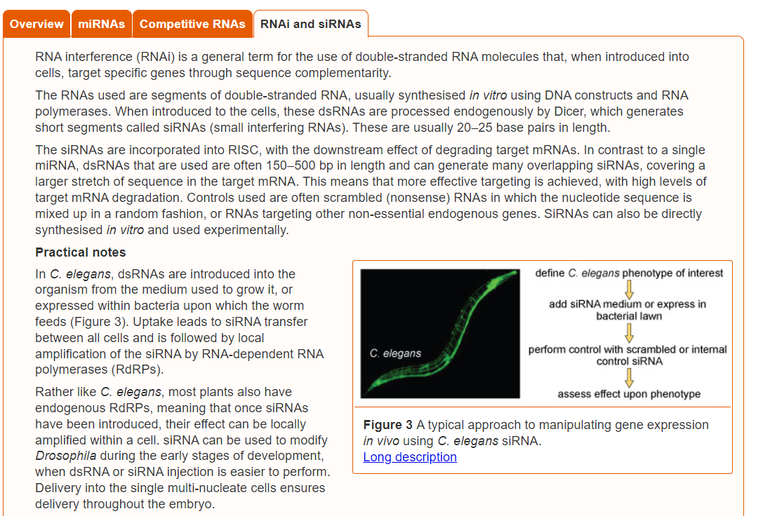 Solved 7 RNA modulation as a research tool The manipulation | Chegg.com