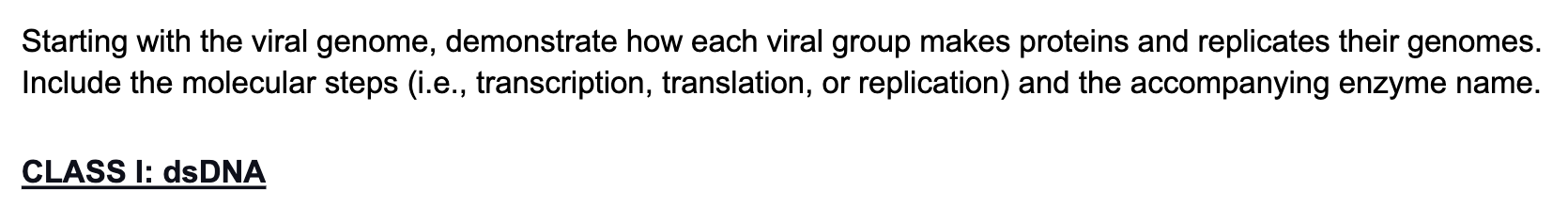 Solved Starting with the viral genome, demonstrate how each | Chegg.com