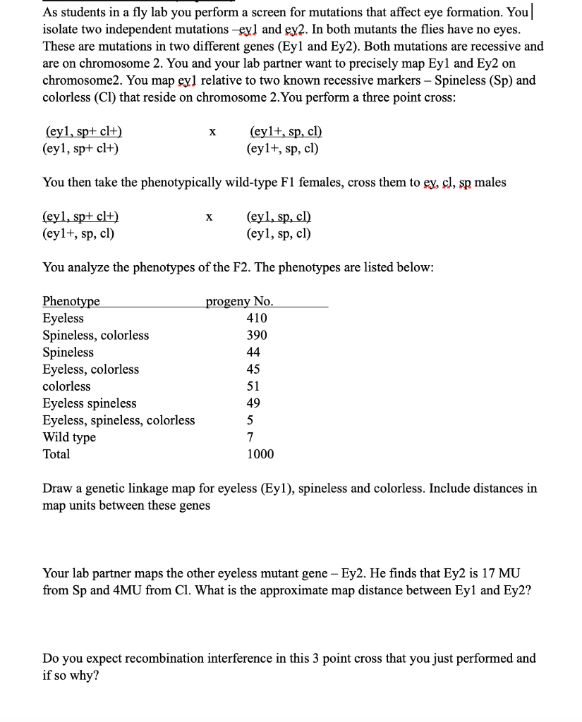 Solved As students in a fly lab you perform a screen for | Chegg.com