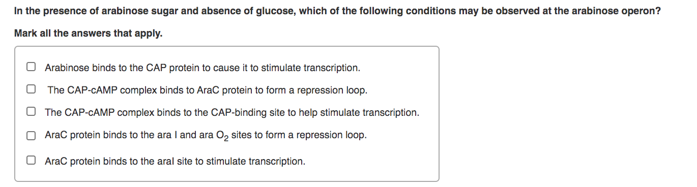 Solved In the presence of arabinose sugar and absence of | Chegg.com