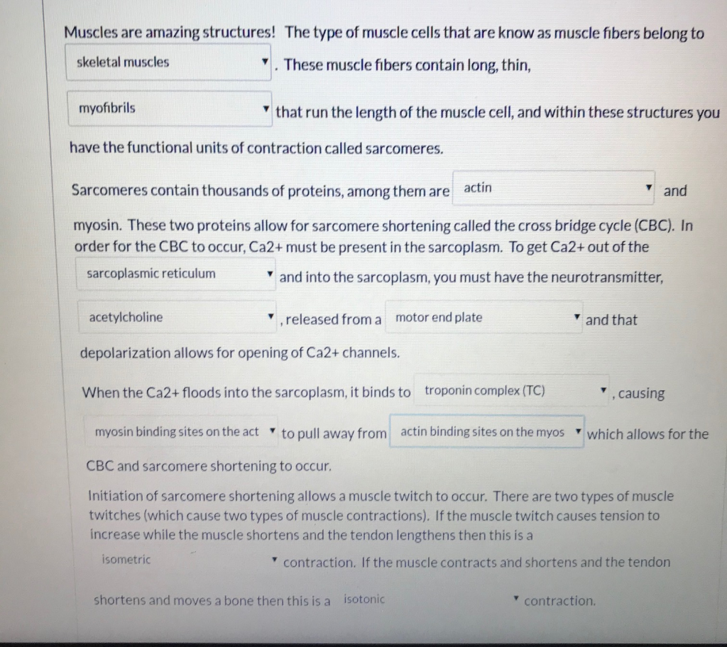 Solved Muscles are amazing structures! The type of muscle | Chegg.com