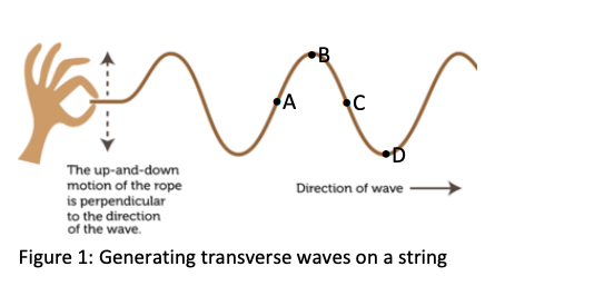 Solved Regarding the transverse wave in Figure 1, what are | Chegg.com