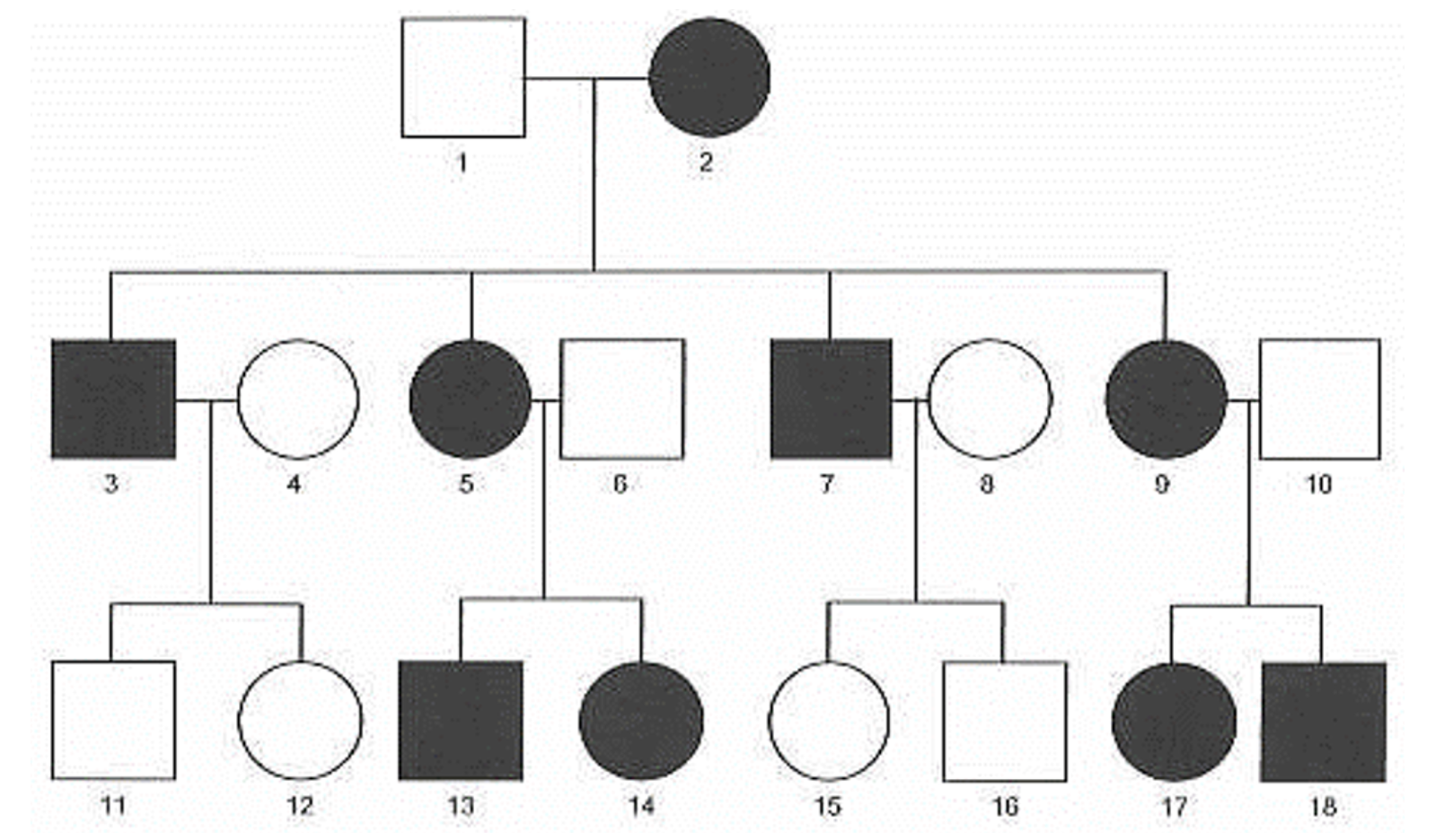 Solved This figure shows a human disease pedigree, use it to | Chegg.com