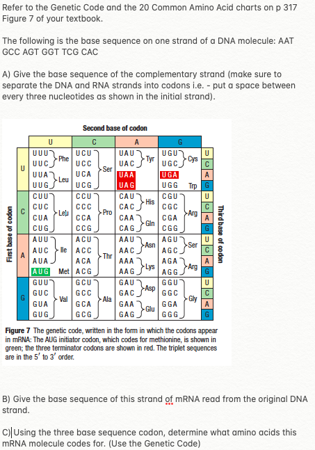 Solved Refer to the Genetic Code and the 20 Common Amino | Chegg.com