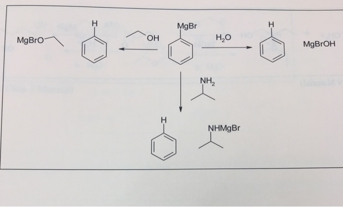 Solved MgBr OH H2O MgBrOH NH2 NHMgBr | Chegg.com
