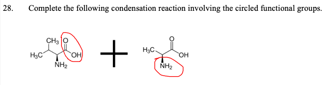 Solved 27. Complete the following condensation reaction to | Chegg.com