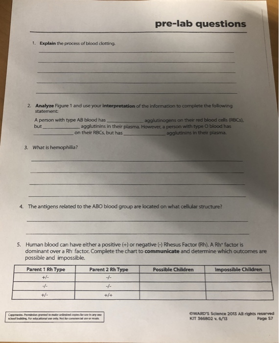 Solved pre-lab questions 1. Esplain the procesof blood | Chegg.com