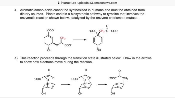 Solved instructure-uploads.s3.amazonaws.com 4. Aromatic | Chegg.com