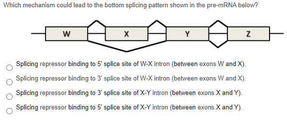 Solved Which mechanism could lead to the bottom splicing | Chegg.com