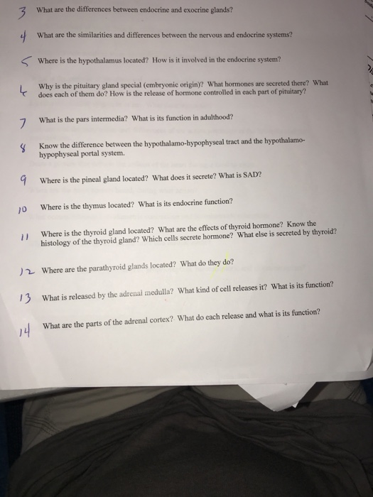 Solved What are the differences between endocrine and | Chegg.com