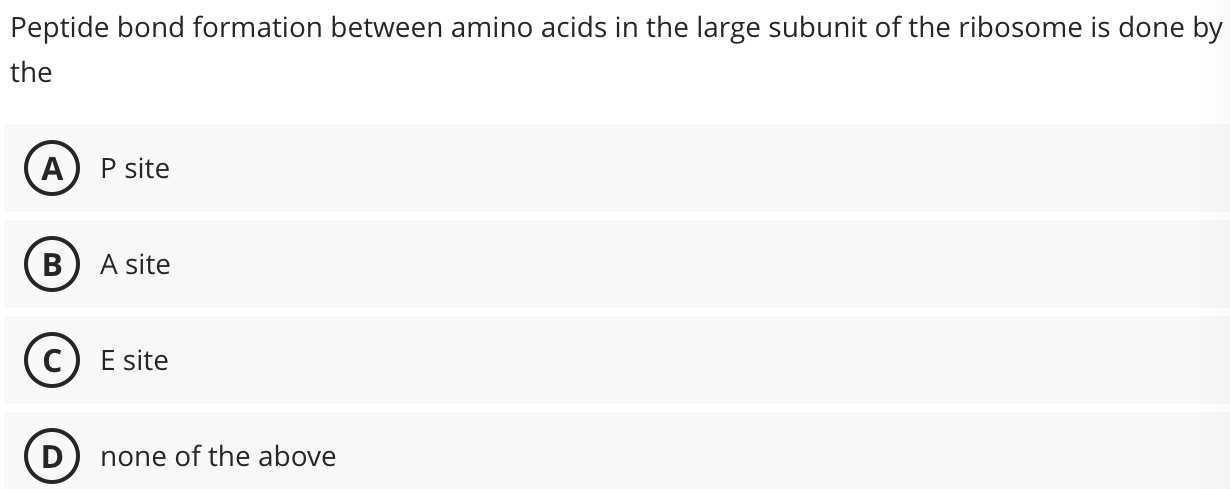 Solved Peptide bond formation between amino acids in the | Chegg.com
