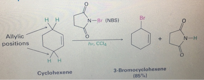 Solved N-Br (NBS) Allylic positions hi, CCl4 N-H | Chegg.com