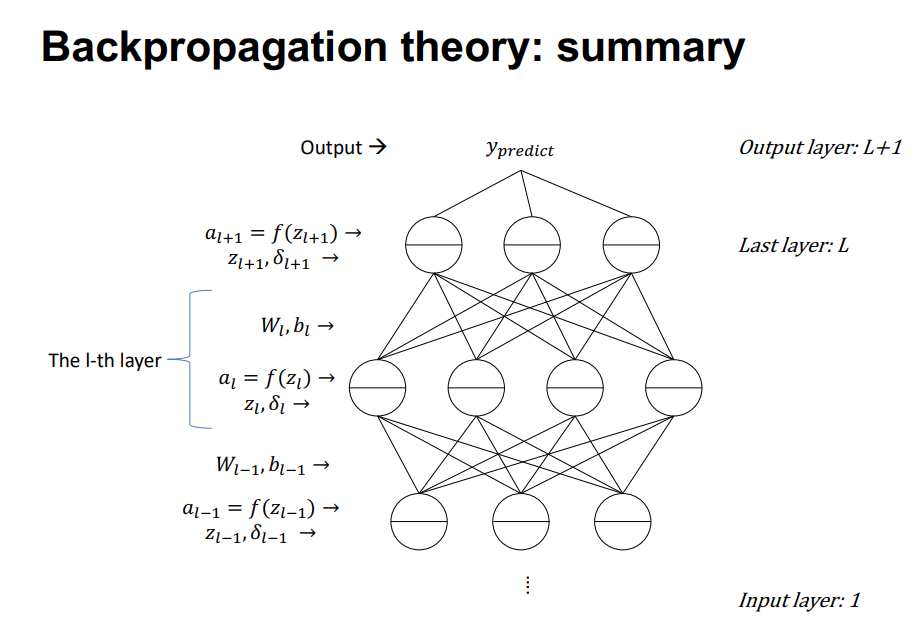 Solved Backpropagation theory: summary Output layer: L+1 | Chegg.com