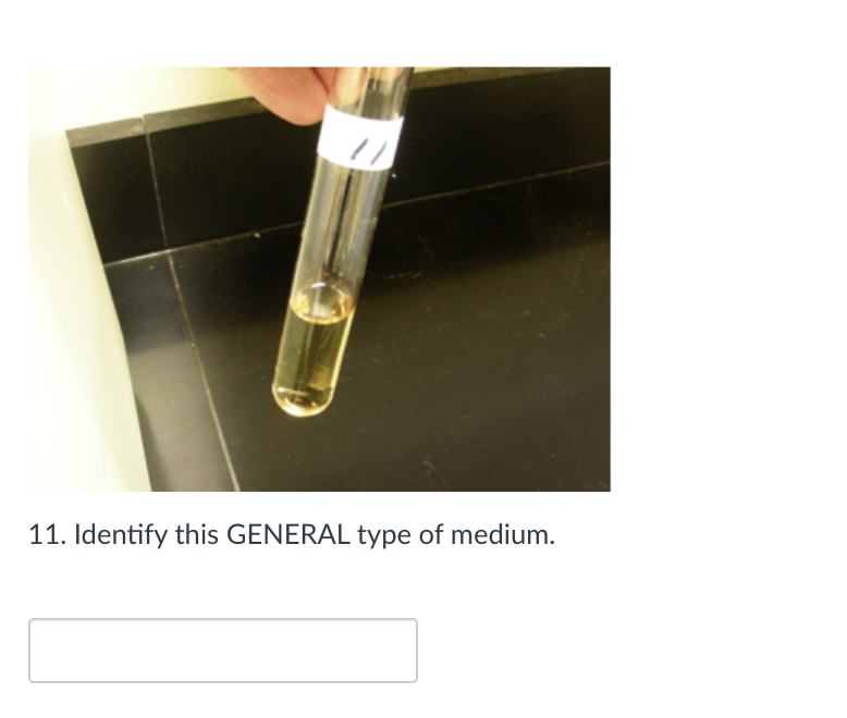 Solved 10um 10um 7. List one genus of bacteria that the | Chegg.com