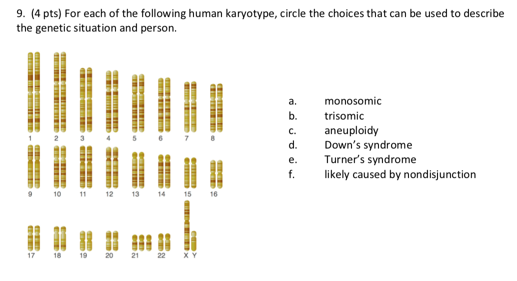 Solved 9. (4 pts) For each of the following human karyotype, | Chegg.com