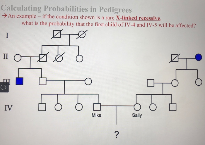 Solved Calculating Probabilities in Pedigrees →An example-if | Chegg.com