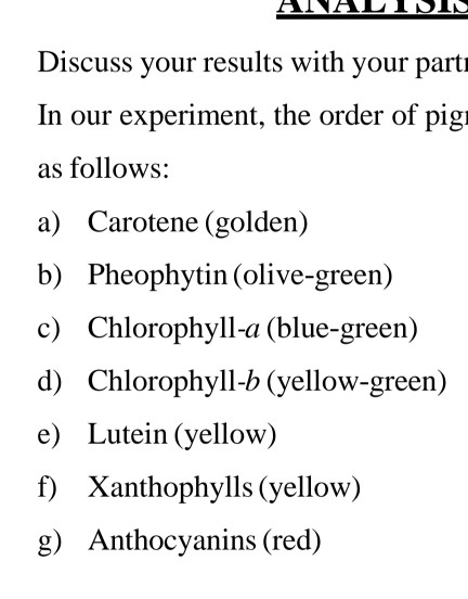 Solved explain the separation pattern of each pigment on the | Chegg.com