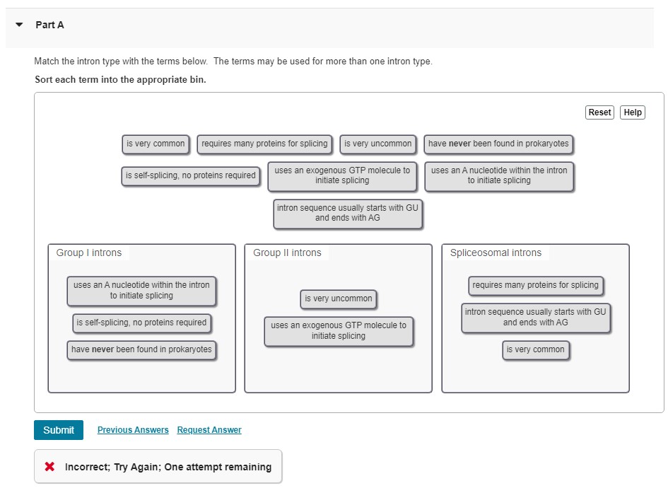 Solved Match the intron type with the terms below. The terms | Chegg.com