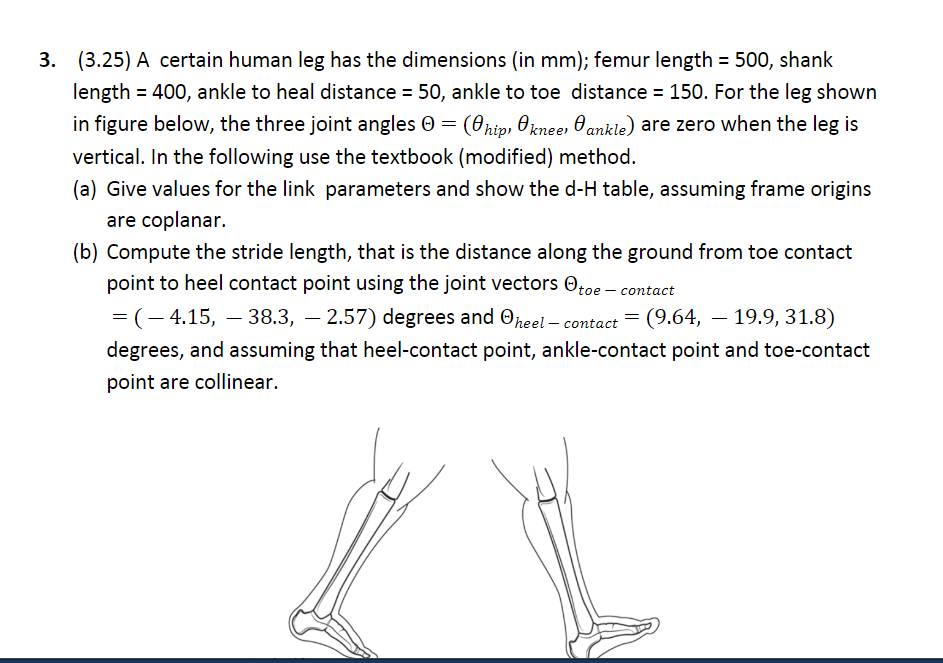 3. (3.25) A certain human leg has the dimensions (in | Chegg.com
