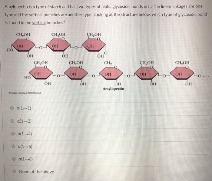 Solved Amylopectin is a type of starch and has two types of | Chegg.com