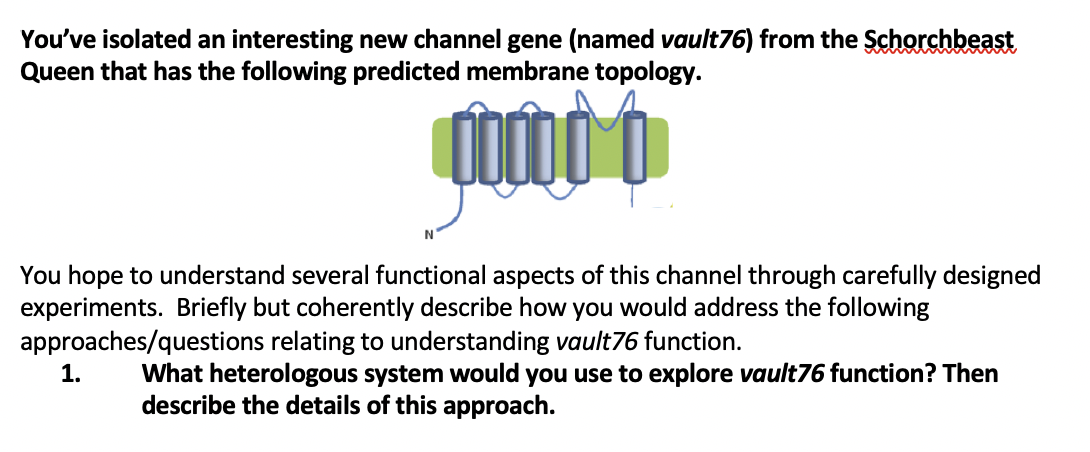 Solved There is no diagram depiction This is the full | Chegg.com