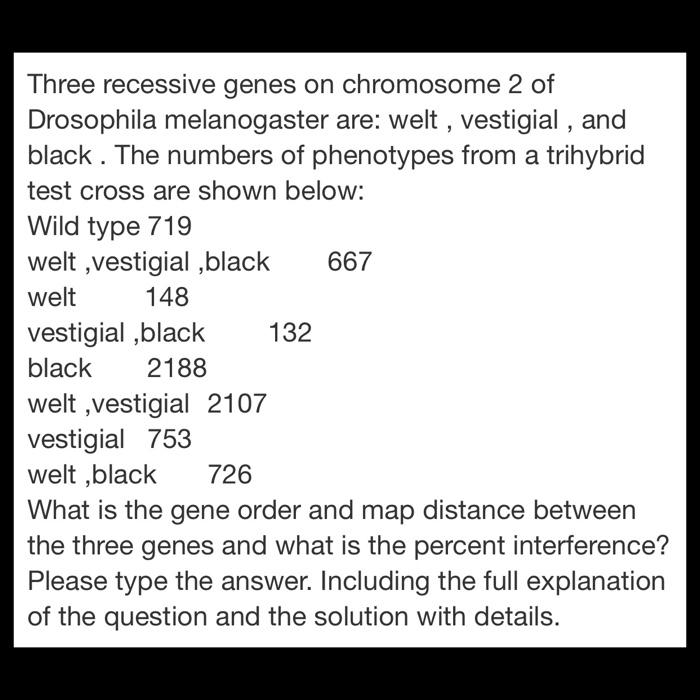Solved Three recessive genes on chromosome 2 of Drosophila | Chegg.com